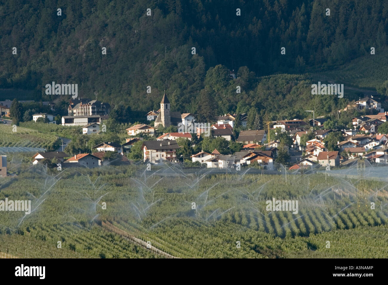 The village of Morter in Venosta Valley, Alto Adige, Italy Stock Photo ...
