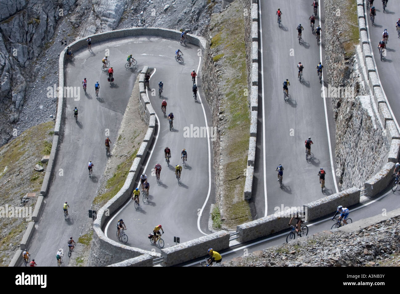 Cyclists in the annual Stelvio Bike day to the mountain pass of ...