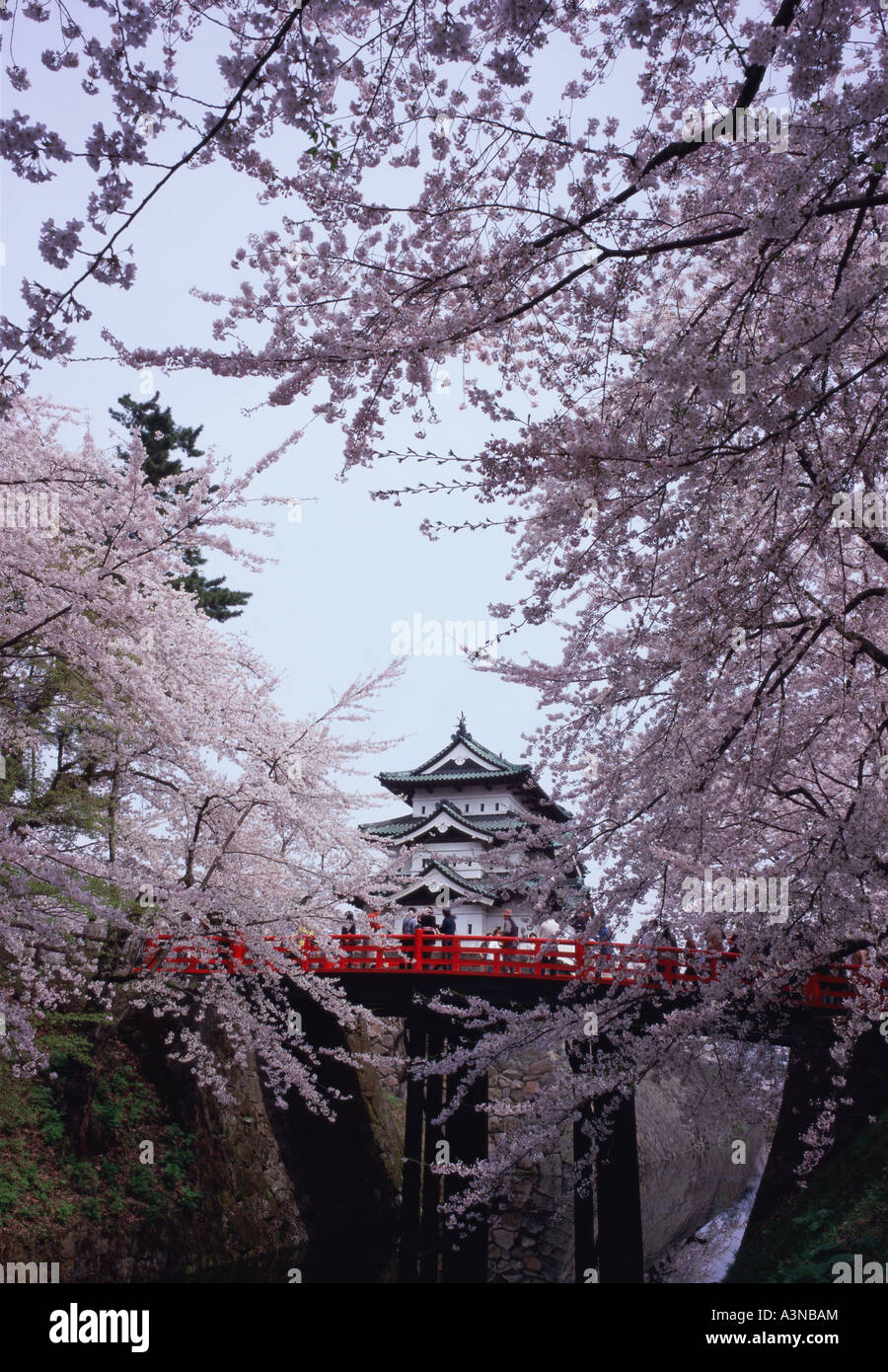 Hirosaki Castle in spring Stock Photo - Alamy