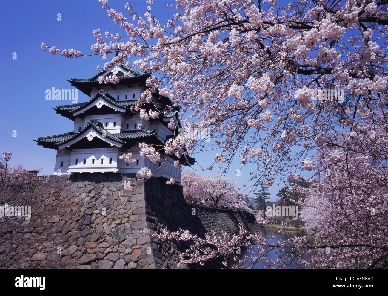 Hirosaki Castle in spring Stock Photo - Alamy