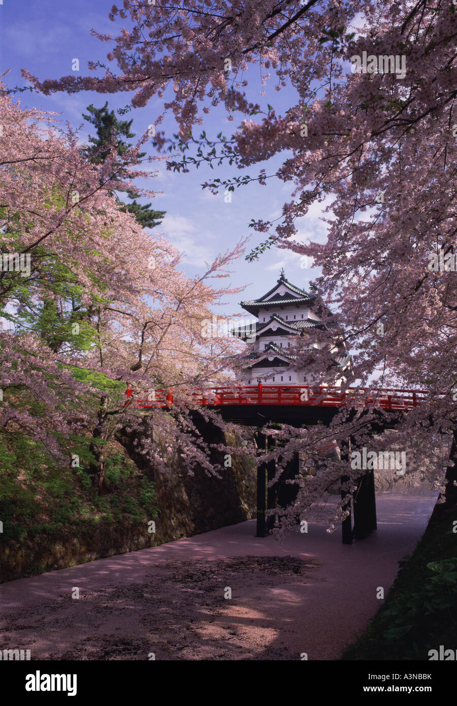 Hirosaki Castle in spring Stock Photo - Alamy