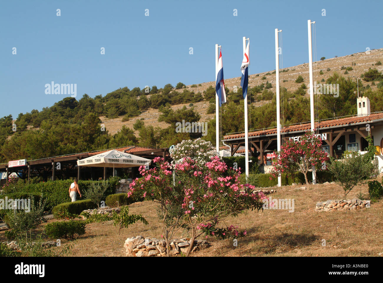 Marina zut hi-res stock photography and images - Alamy