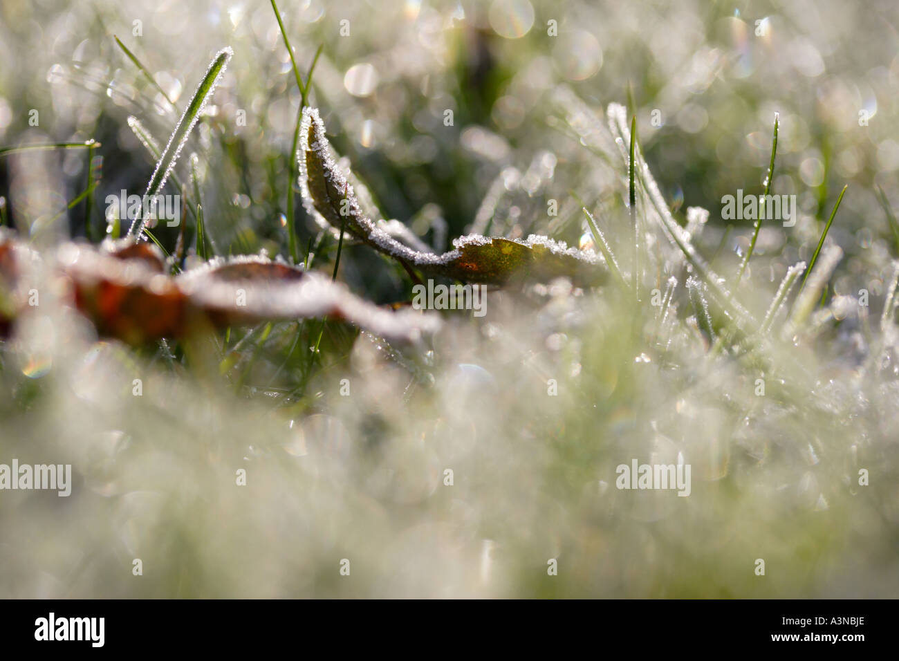 Frosty start on spring hi-res stock photography and images - Alamy