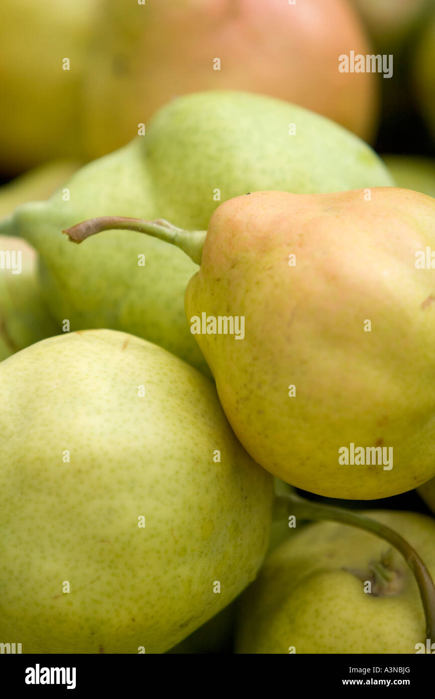 Freshly picked organic comice pears (Pyrus communis Stock Photo - Alamy