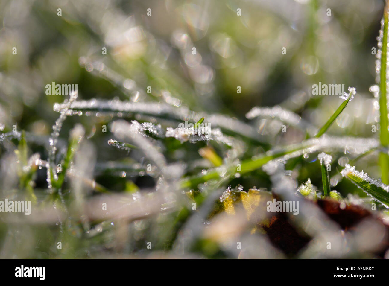 Frosty start on spring hi-res stock photography and images - Alamy