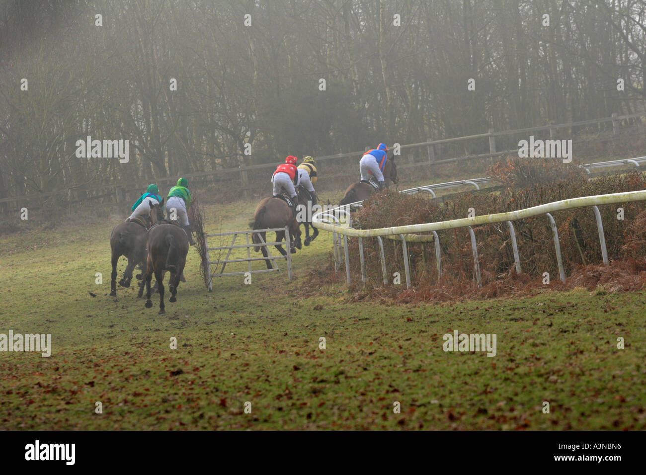 Horses and riders approaching finish line Stock Photo - Alamy