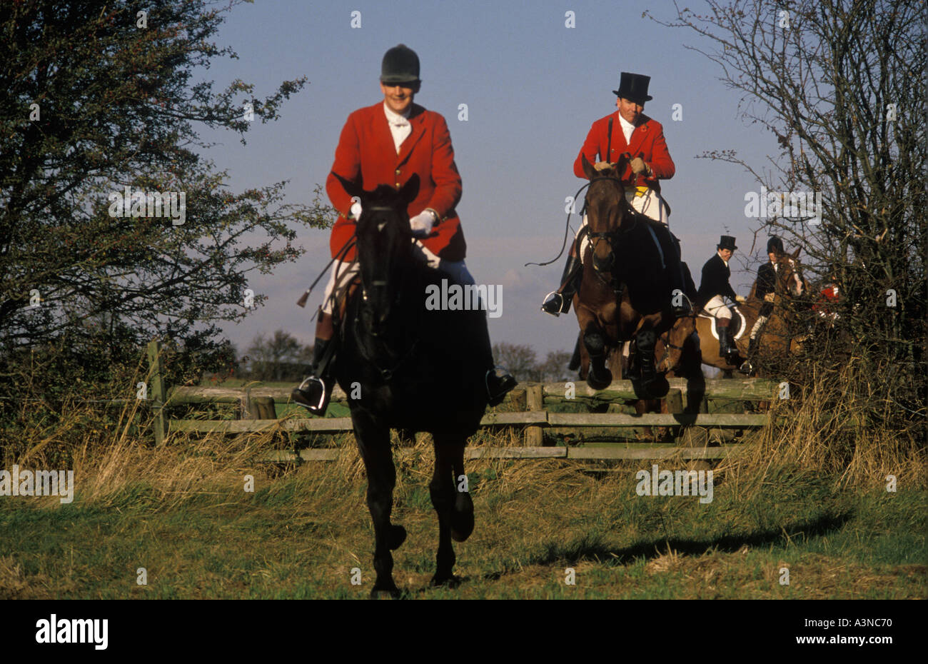 Hunt jumping hi-res stock photography and images - Alamy
