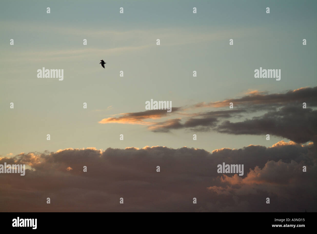 Mass layer clouds hi-res stock photography and images - Alamy