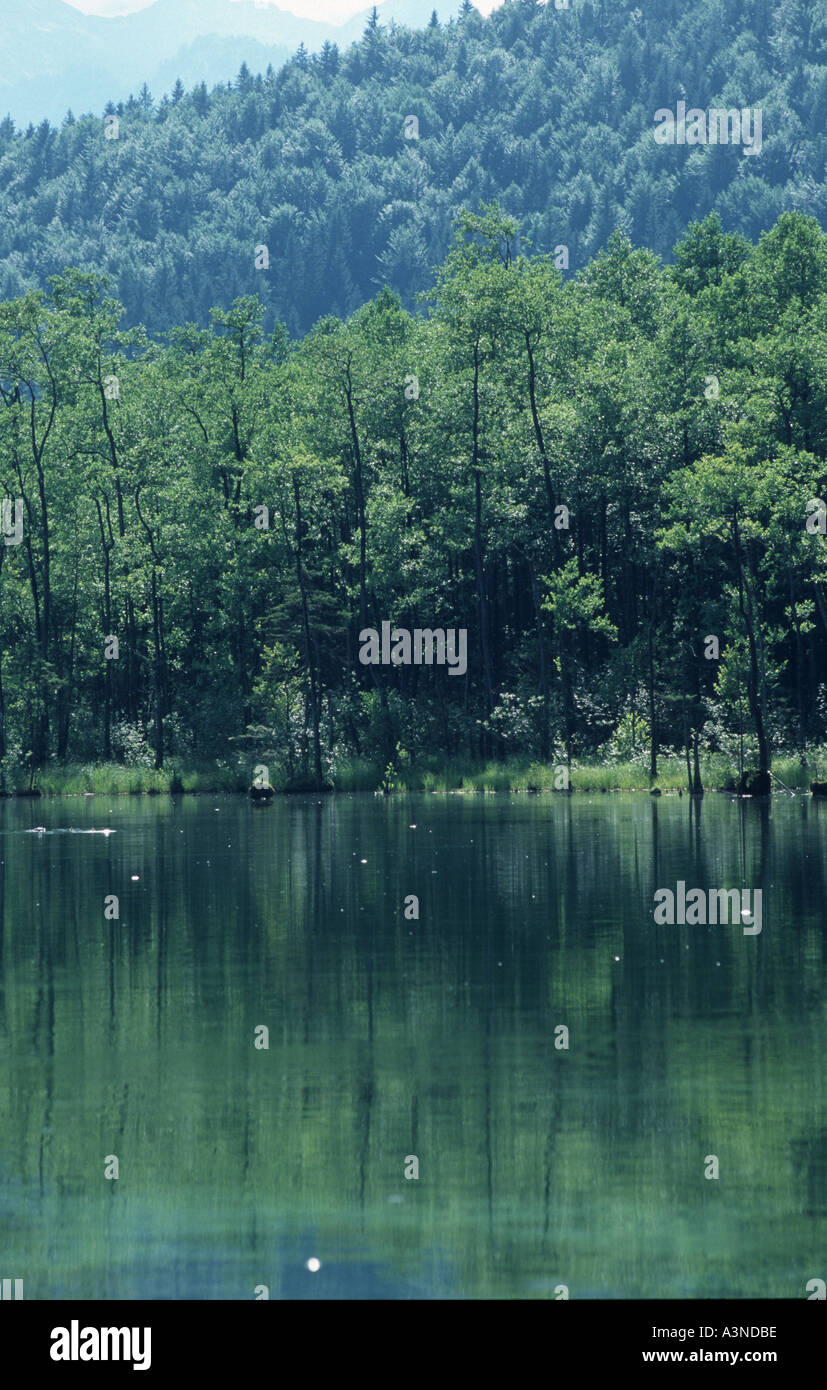 reflection on water, lake Stock Photo - Alamy