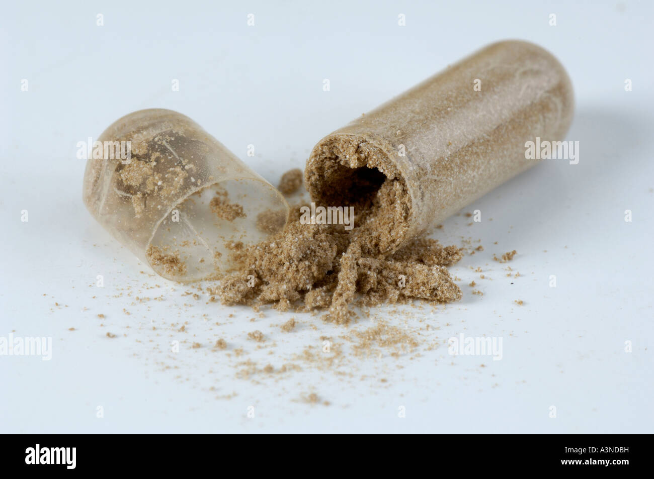 Shiitake Mushroom cachet Stock Photo - Alamy