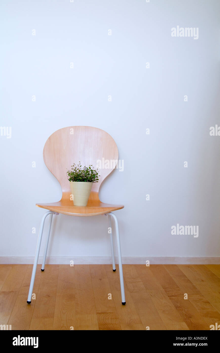 Potted plant on chair Stock Photo - Alamy