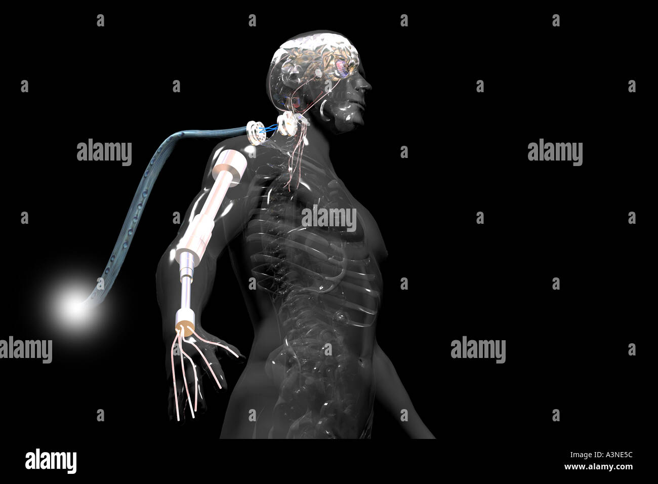 Cyborg hi-res stock photography and images - Alamy