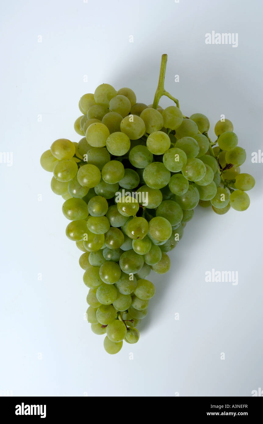 Malinger hi-res stock photography and images - Alamy