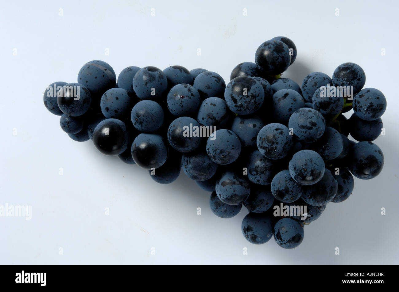Grapes 'Regent' Stock Photo - Alamy