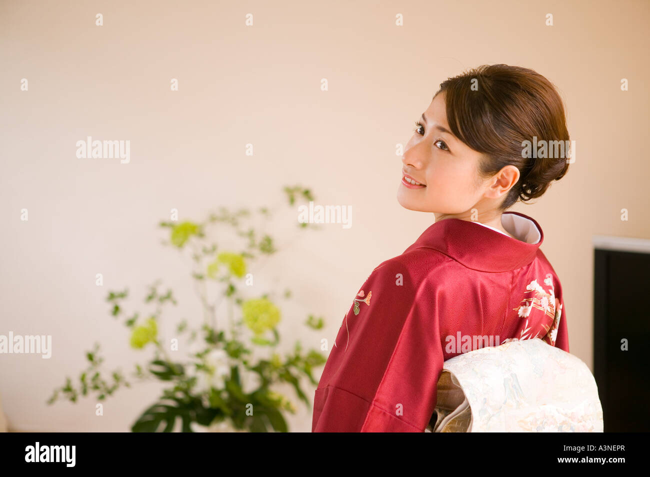 Rear view of a japanese woman wearing kimono hi-res stock photography ...