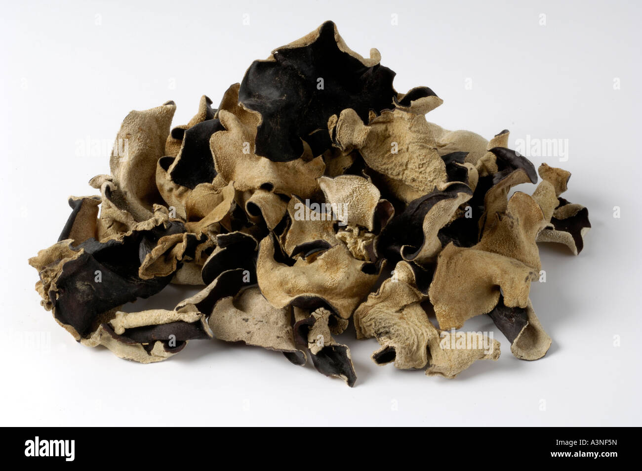 Dried jews ear hi-res stock photography and images - Alamy