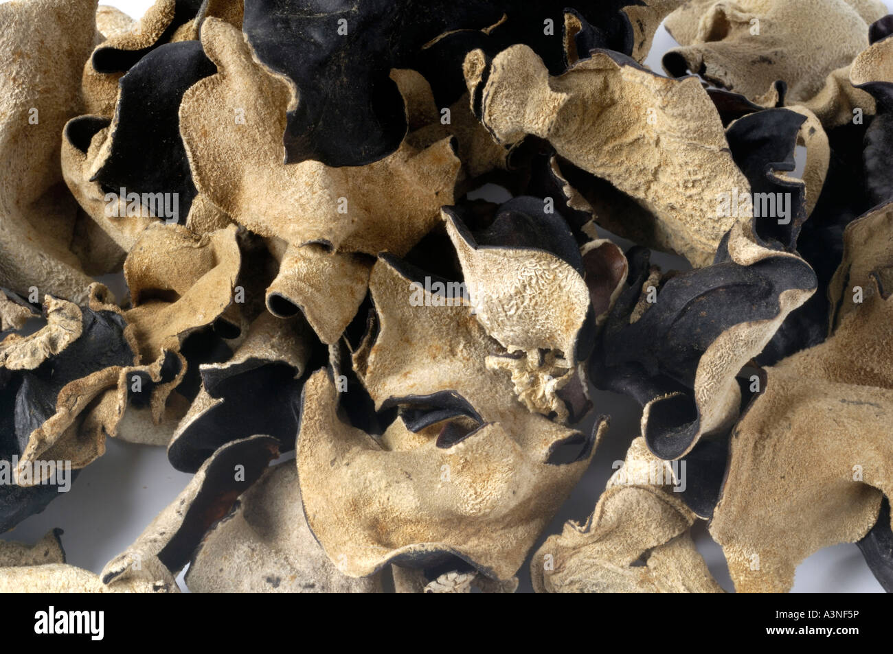 Jew's Ear / Mu Err Fungus Stock Photo - Alamy
