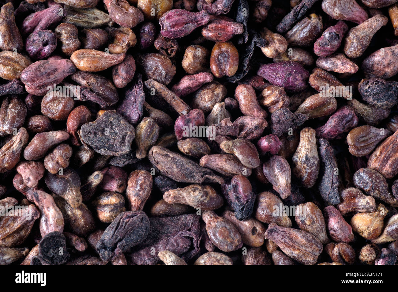 Common Grape Seed Stock Photo - Alamy