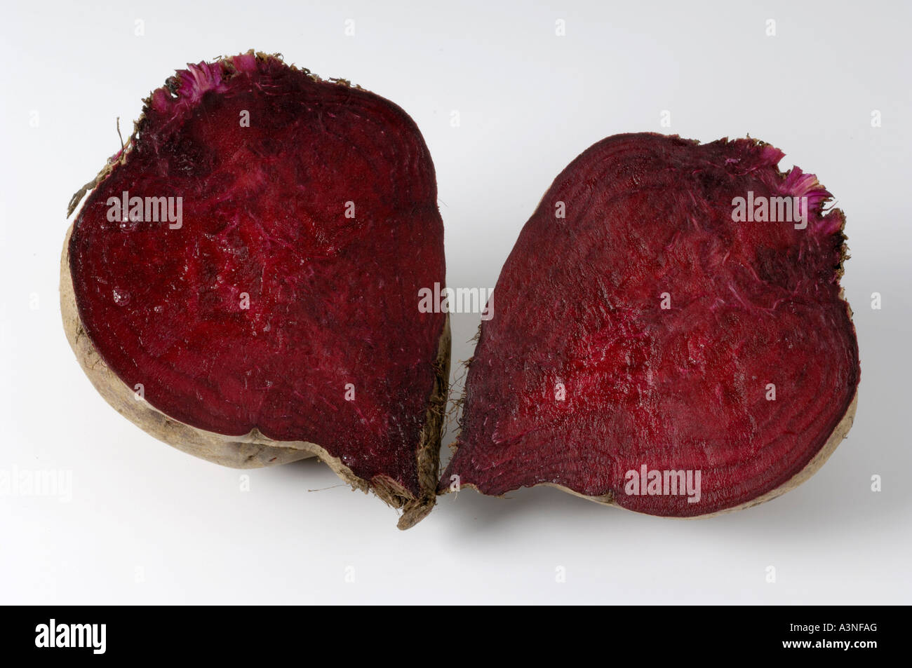 Red Beet Root Stock Photo - Alamy