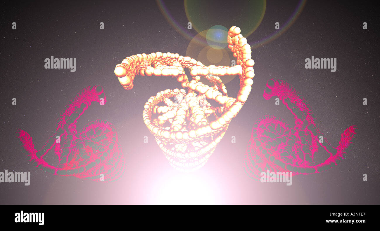 Dna double helix sketch hi-res stock photography and images - Alamy