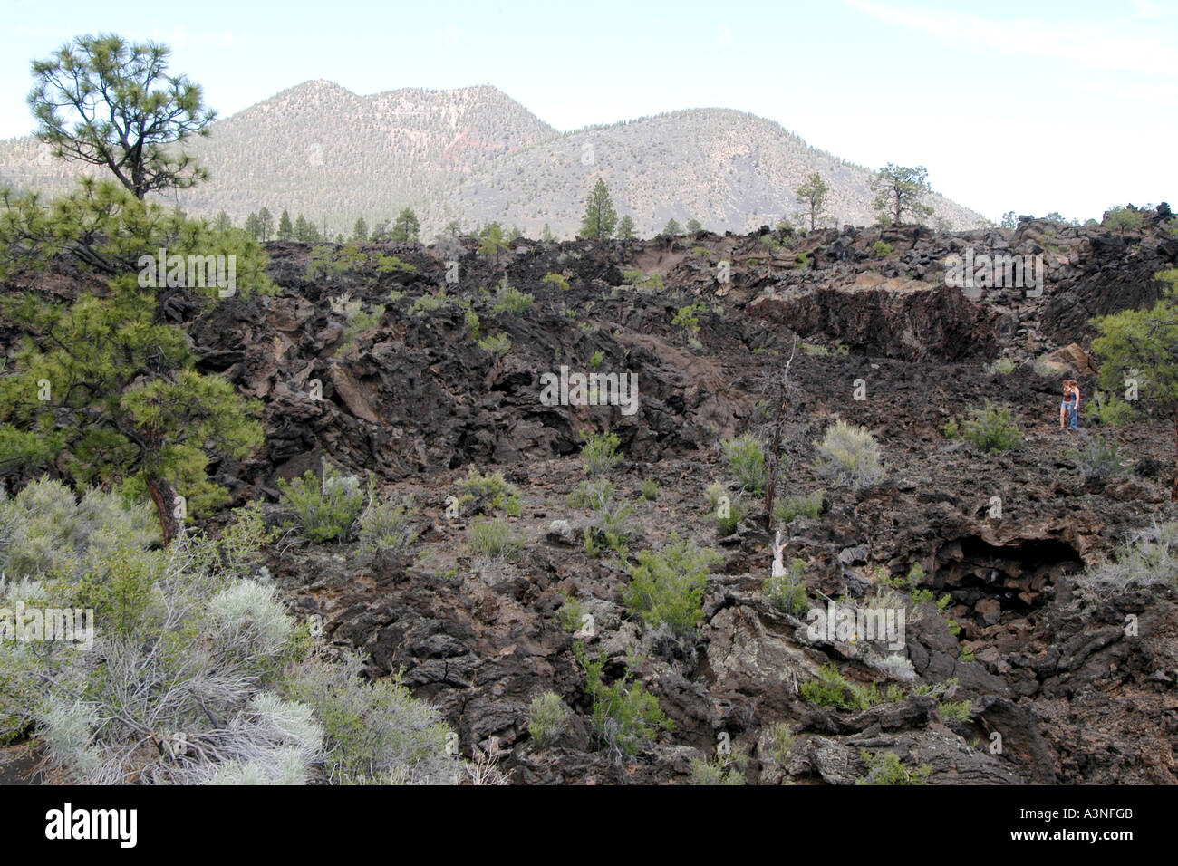 Fossilised lava flow near Lennox Crater Arizona USA Stock Photo - Alamy