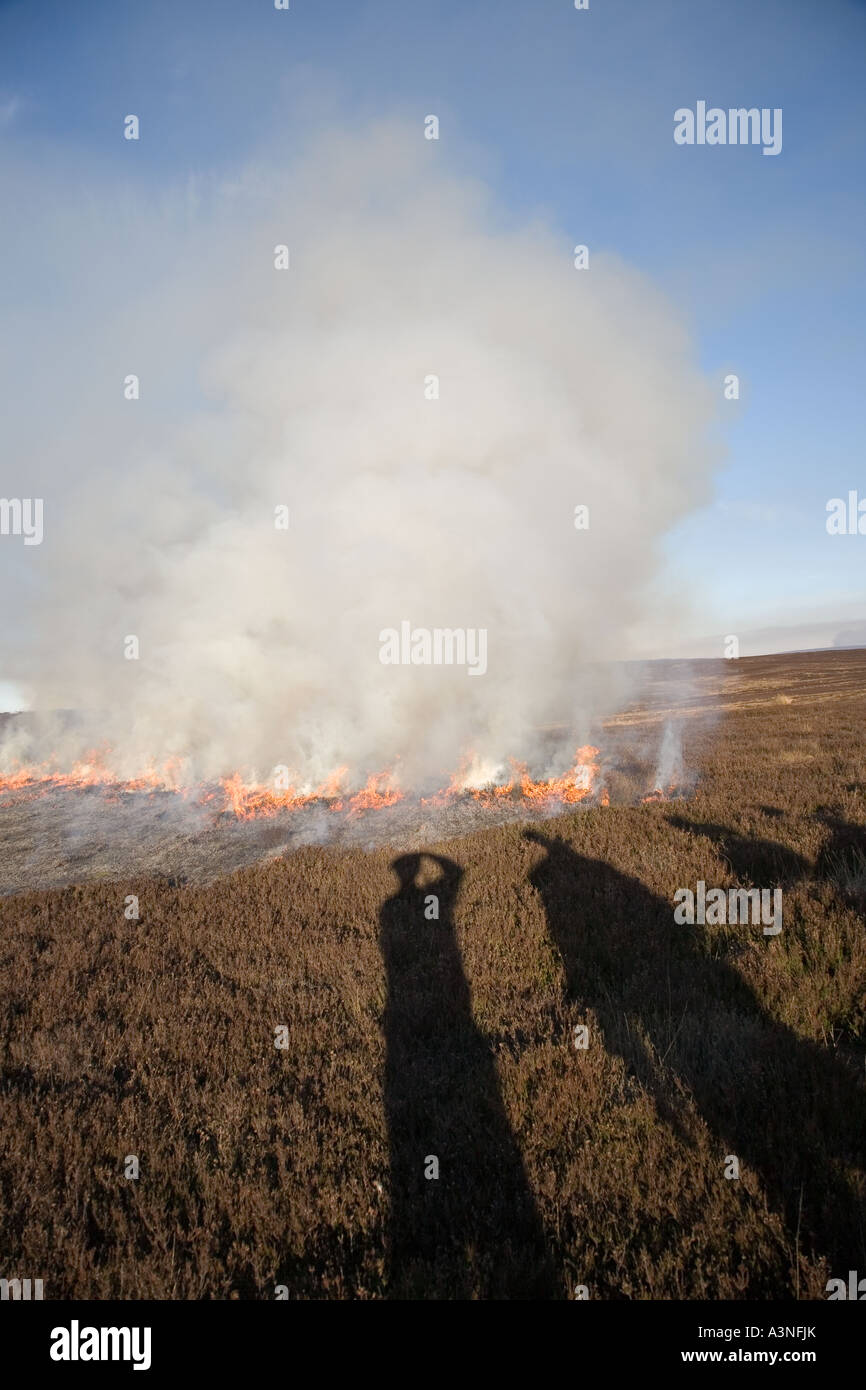Controlled heather burning on moorland, April husbandry of the Grouse ...