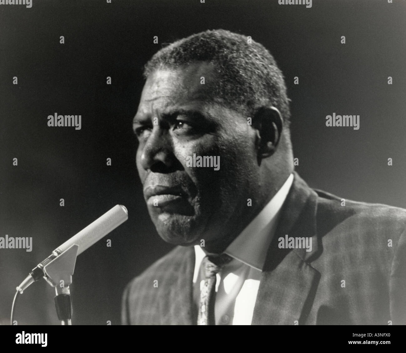 Howling wolf hi-res stock photography and images - Alamy