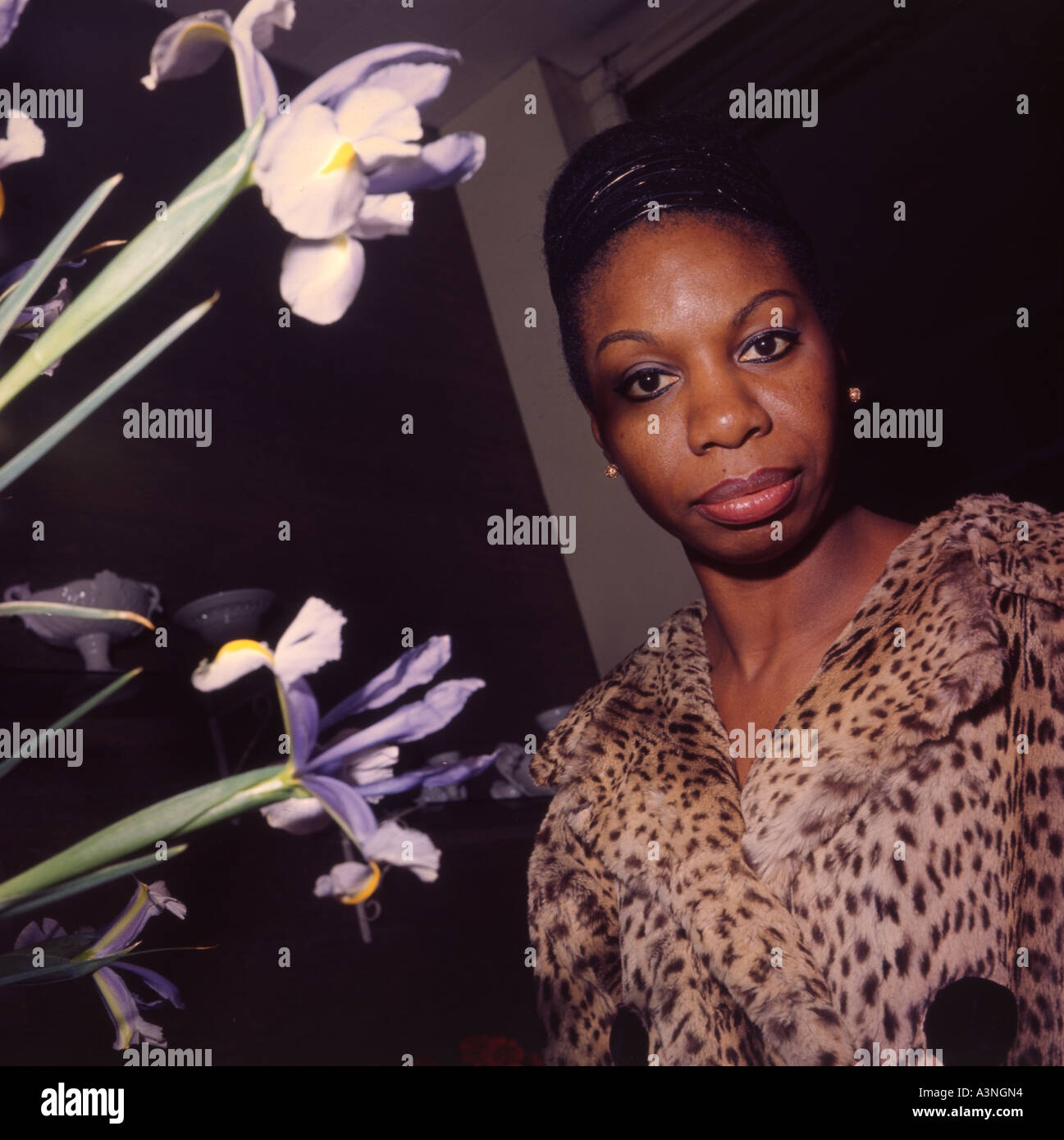 NINA SIMONE (1933-2003) US singer in London in April 1967. Photo Tony ...