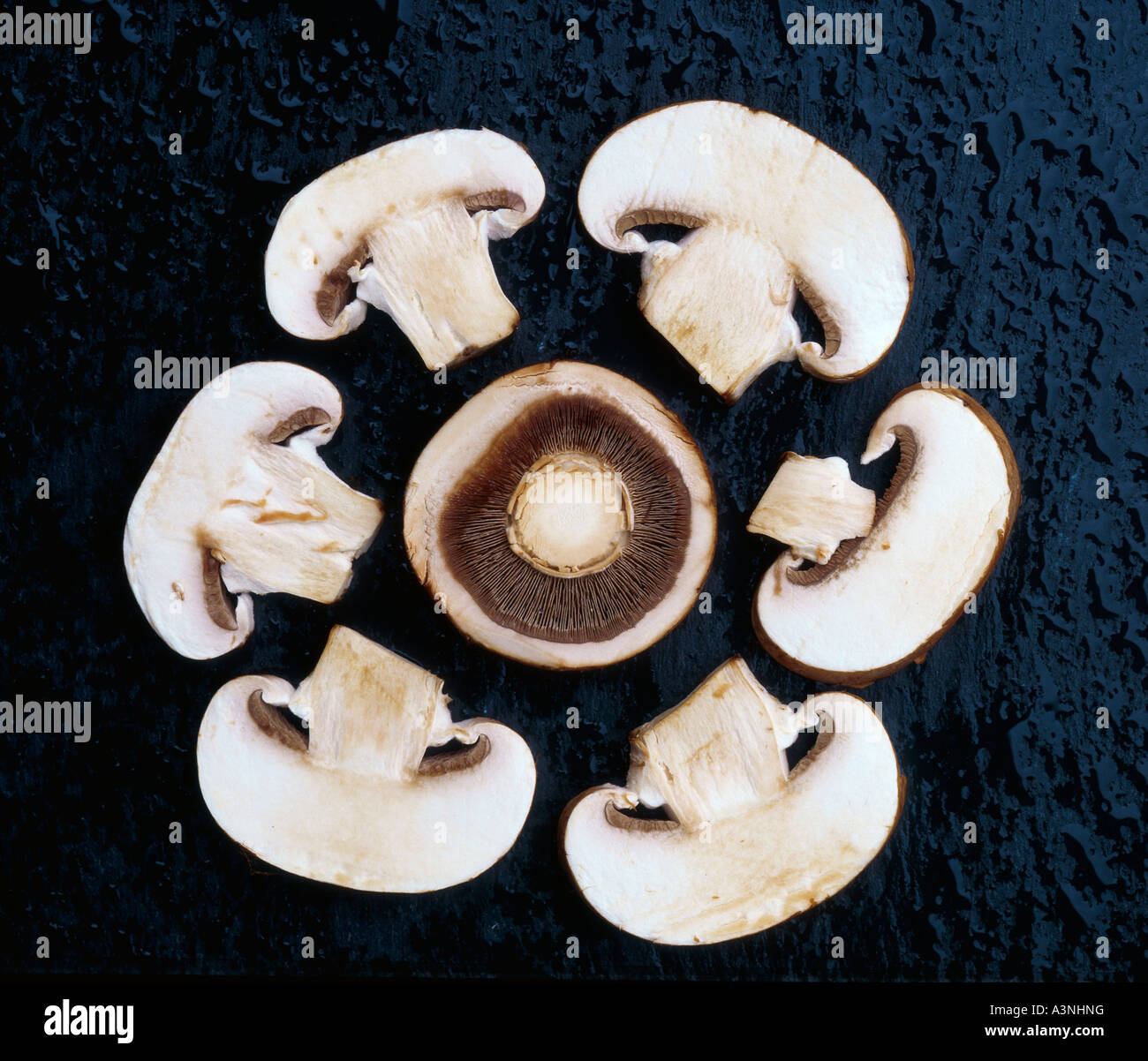 Button Mushroom Stock Photo - Alamy