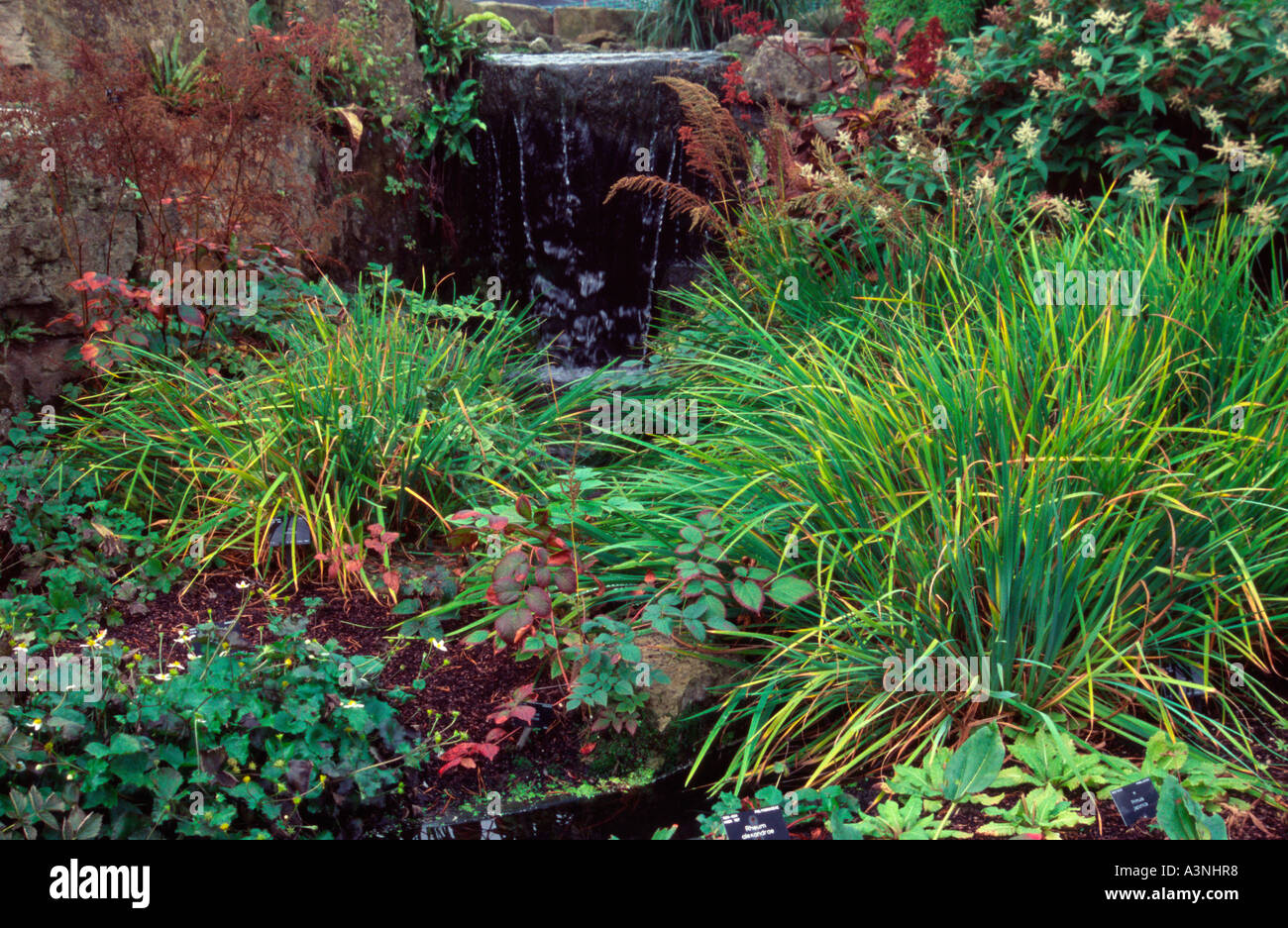 The rockery and waterfall, Kew Gardens, Surrey, UK Stock Photo - Alamy
