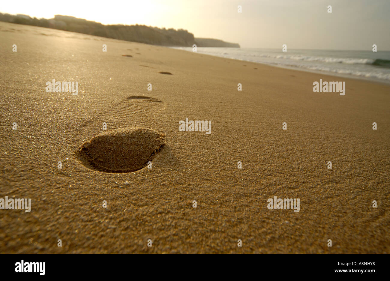 footprint in sand on beach Stock Photo - Alamy