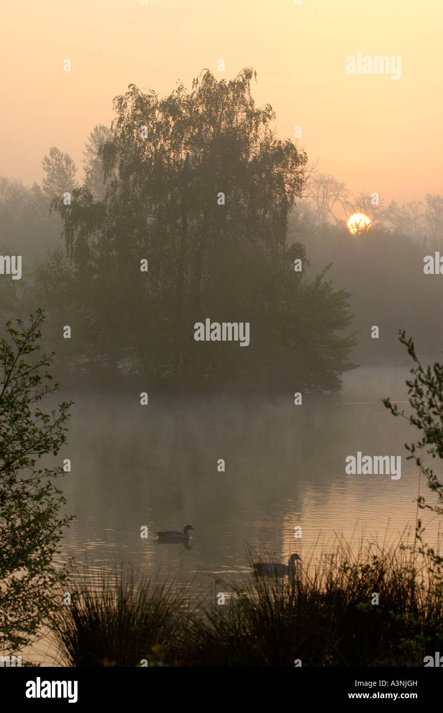 Rotbachsee hi-res stock photography and images - Alamy