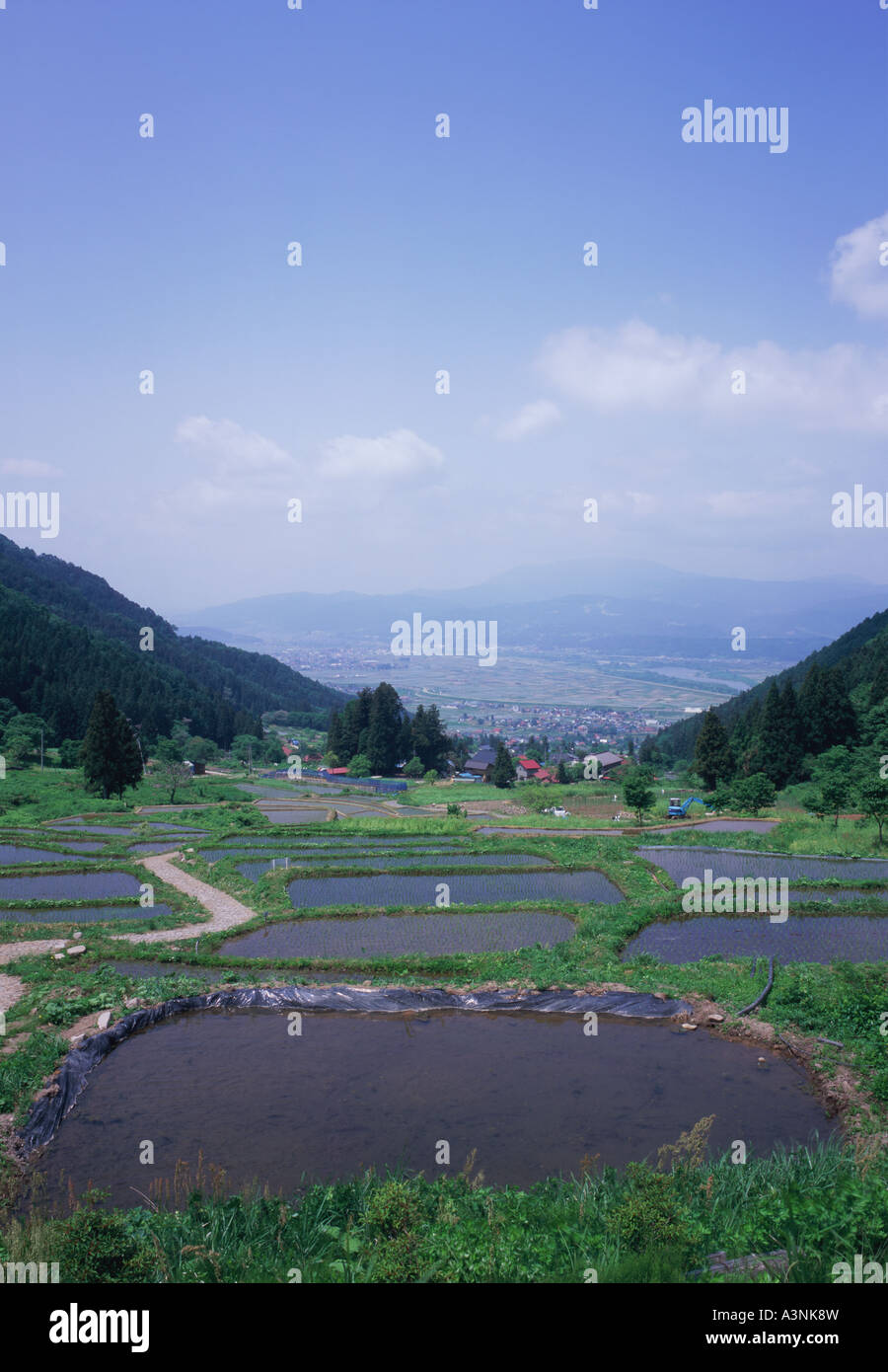 Rice field in Nagano Prefecture Japan Stock Photo - Alamy