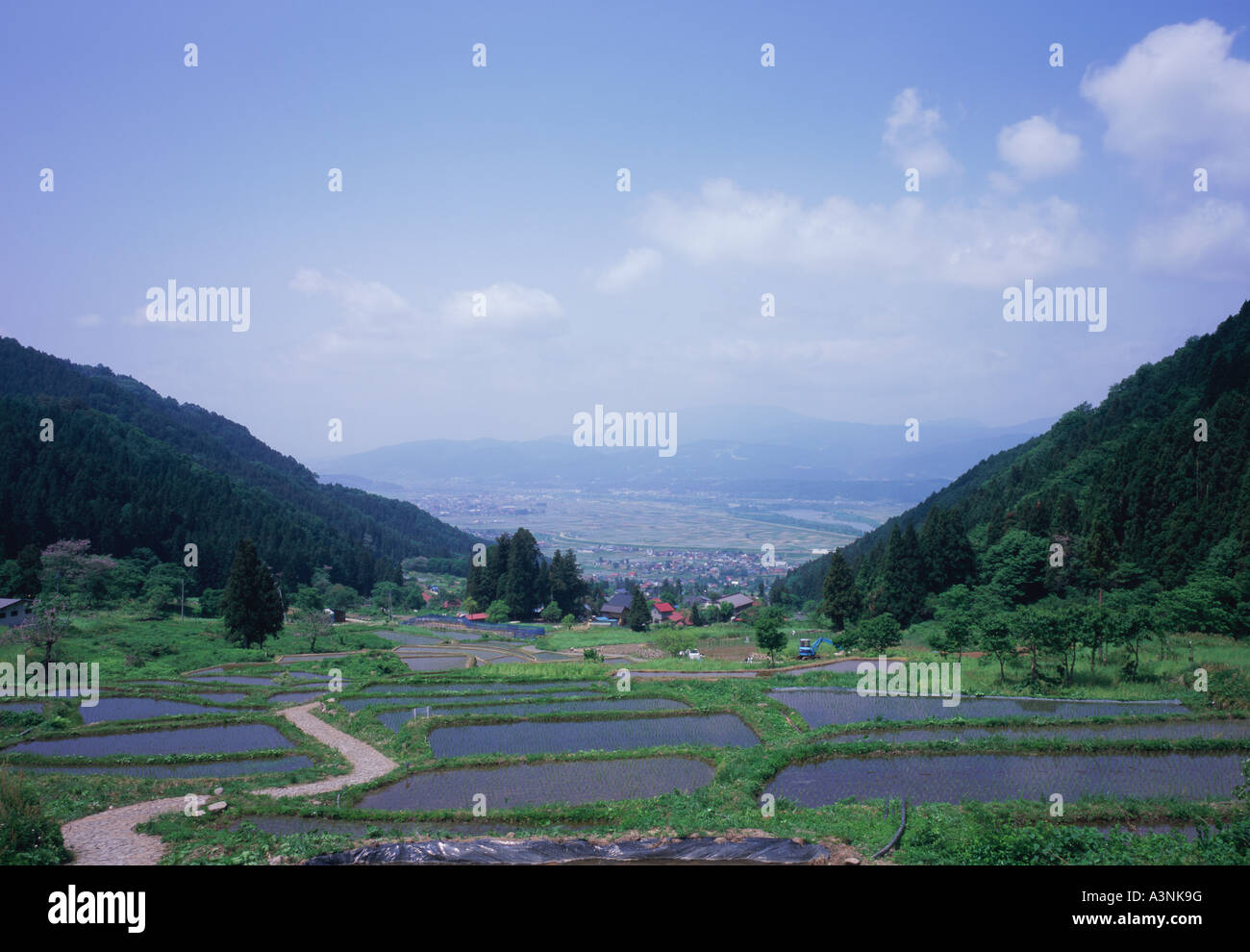 Rice field in Nagano Prefecture Japan Stock Photo - Alamy
