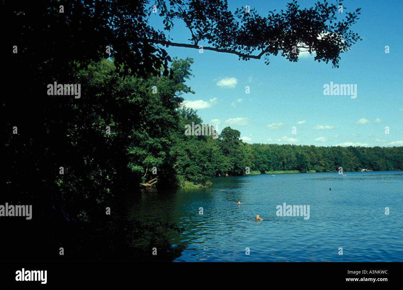 Krumme Lanke Berlin High Resolution Stock Photography and Images - Alamy