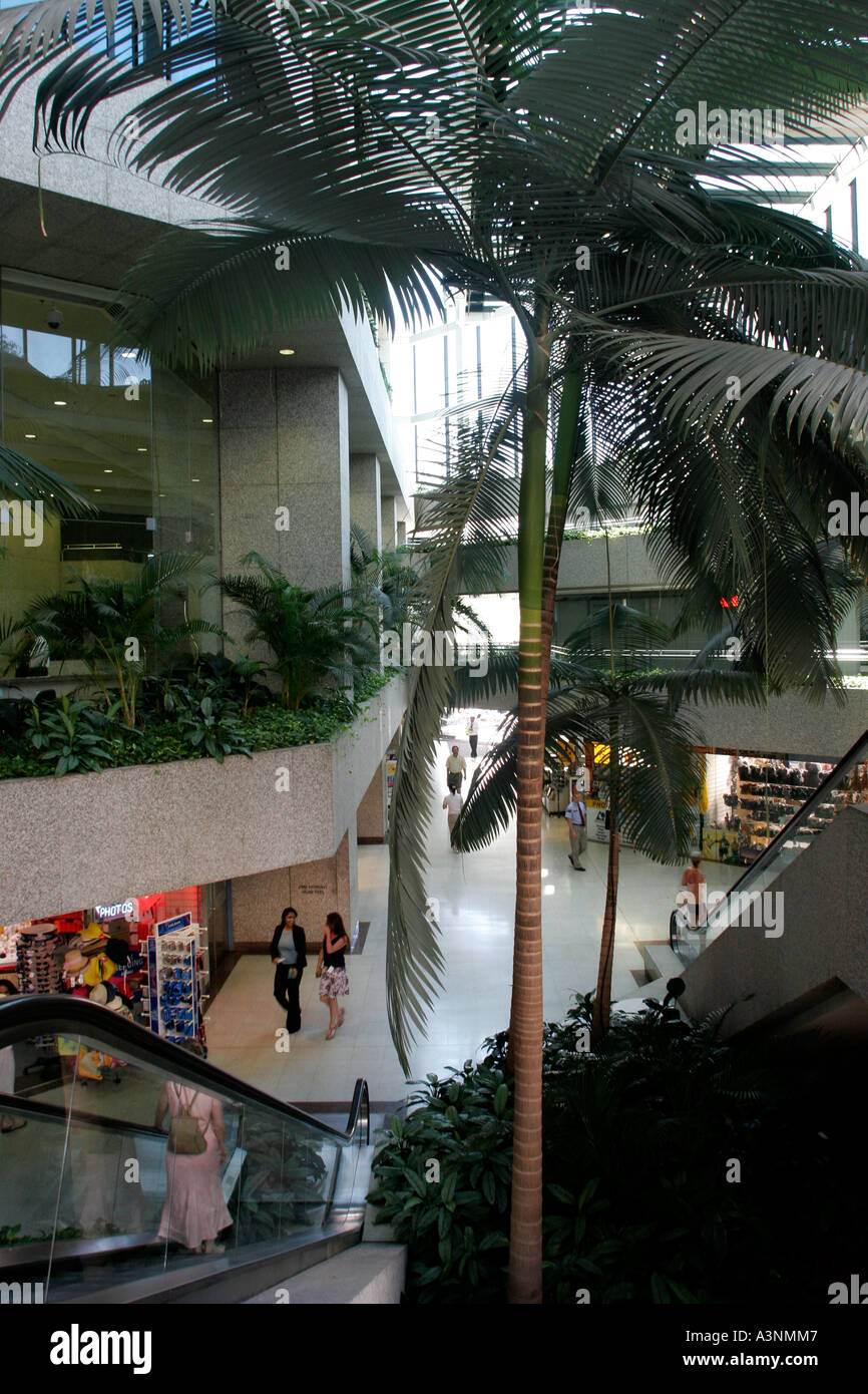 The palms shopping centre hi-res stock photography and images - Alamy