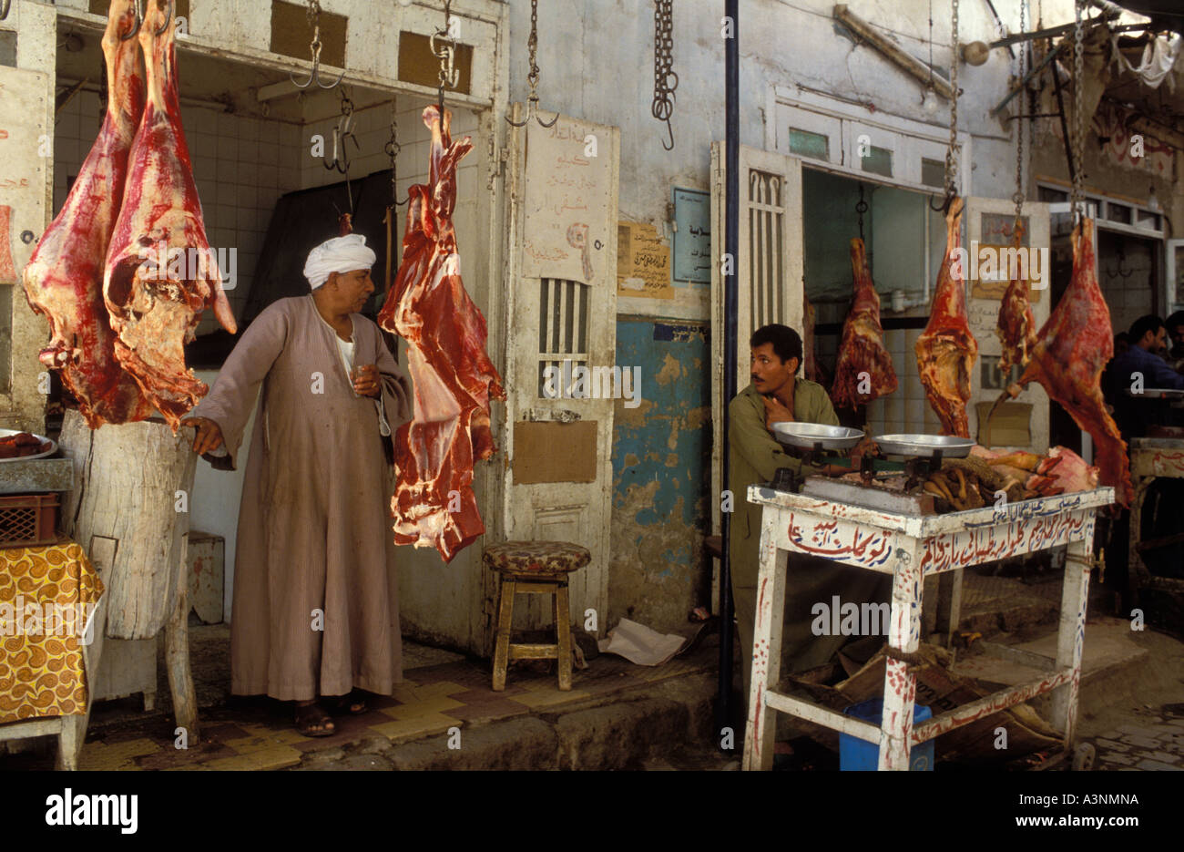 African camel camel meat slaughter hi-res stock photography and images ...