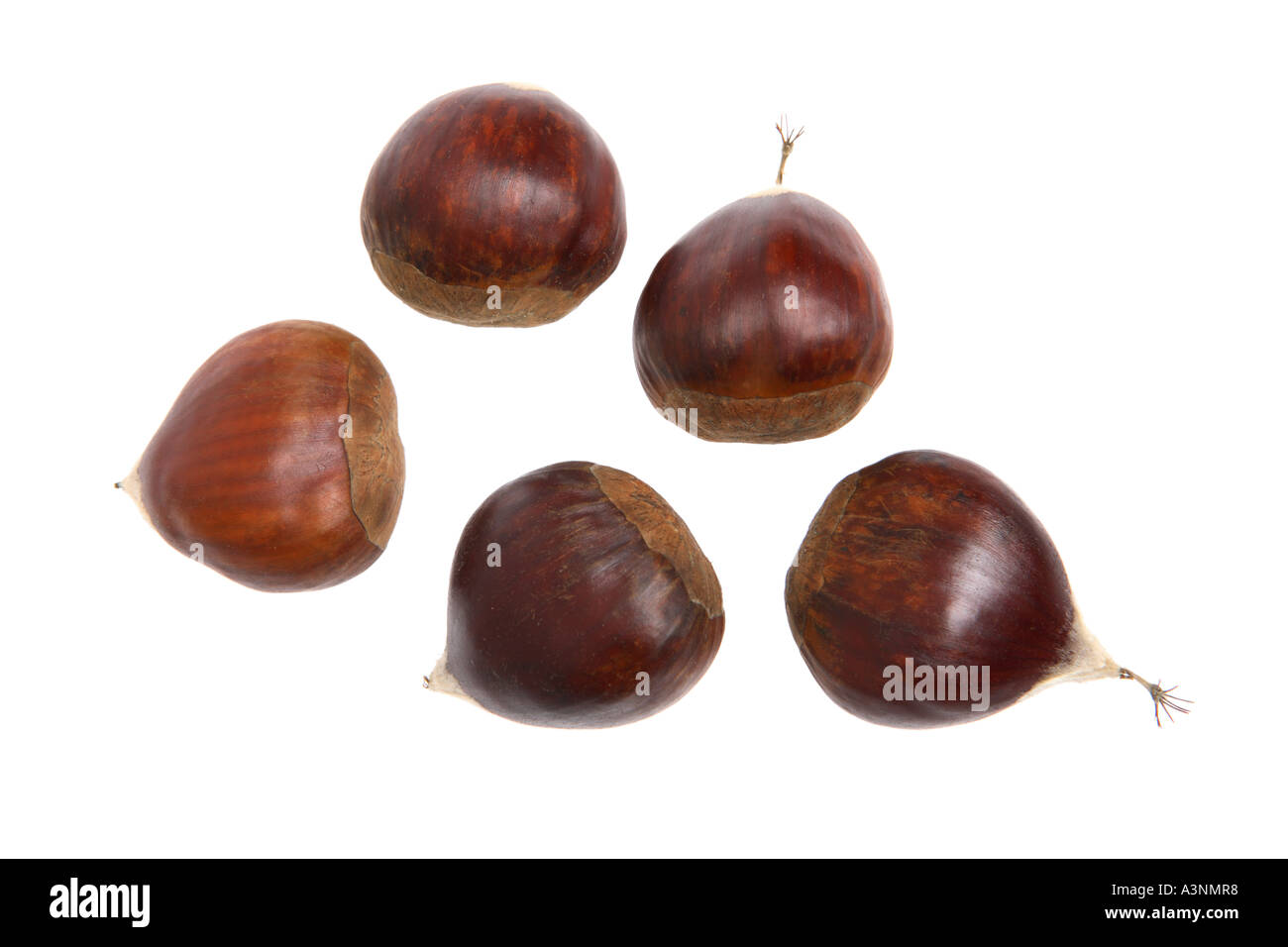 Chestnuts roasting by an open fire Cut Out Stock Images & Pictures - Alamy
