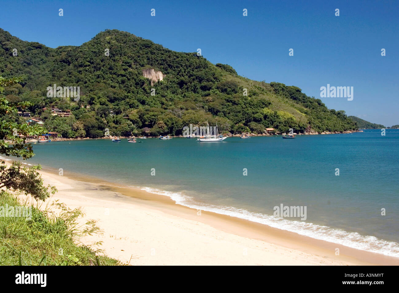 Picinguaba beach / Ubatuba Stock Photo - Alamy