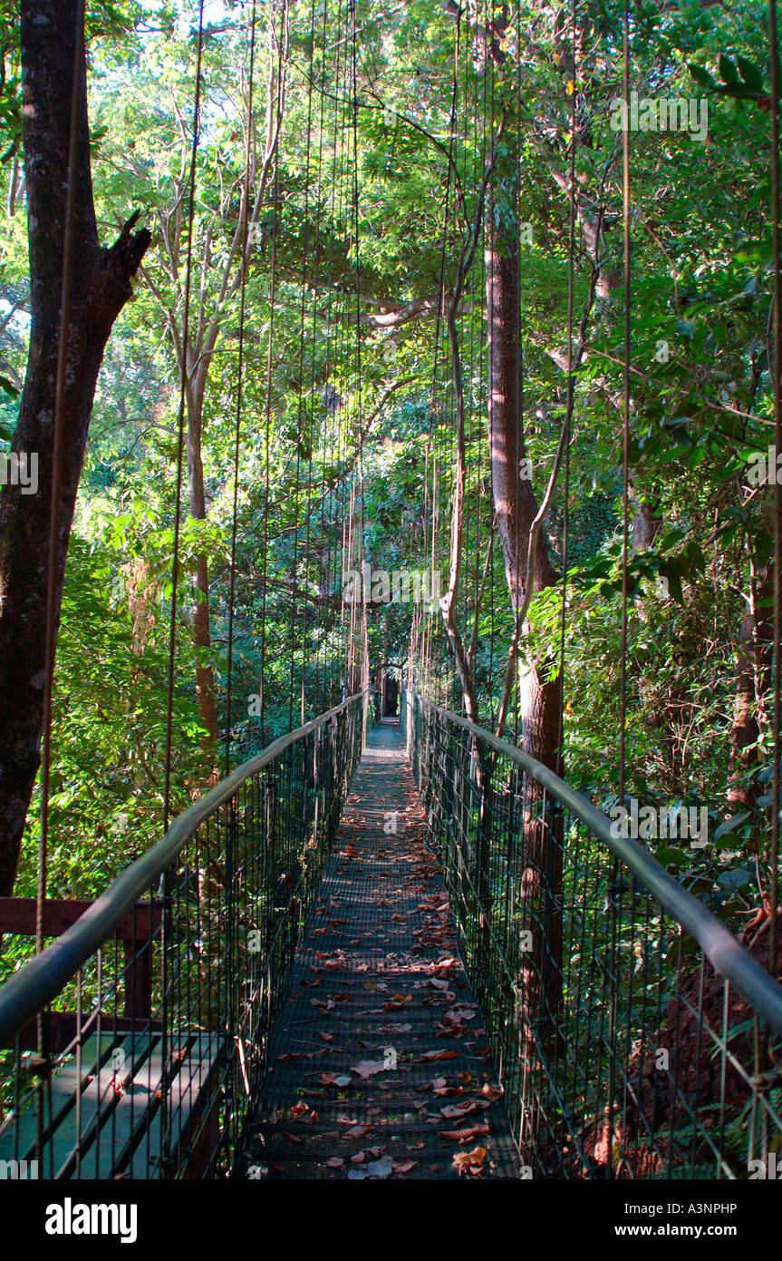 Sky walk Stock Photo - Alamy