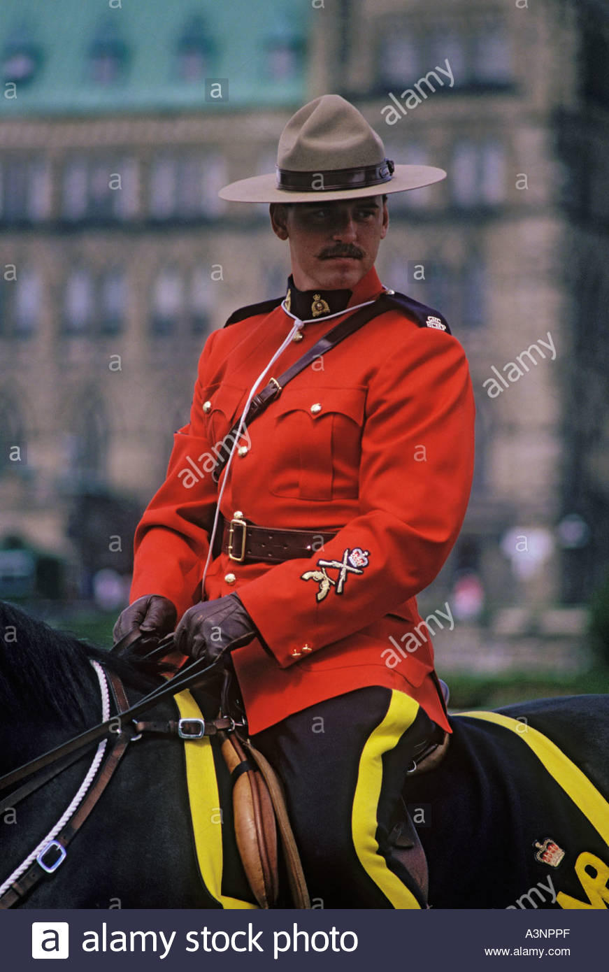 Mountie Horse Stock Photos & Mountie Horse Stock Images - Alamy