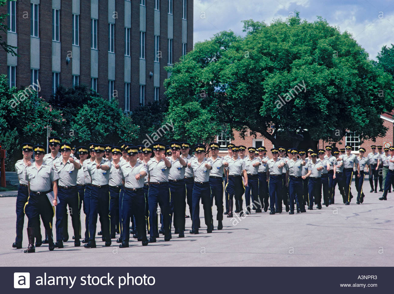 Police Training Stock Photos & Police Training Stock Images - Alamy