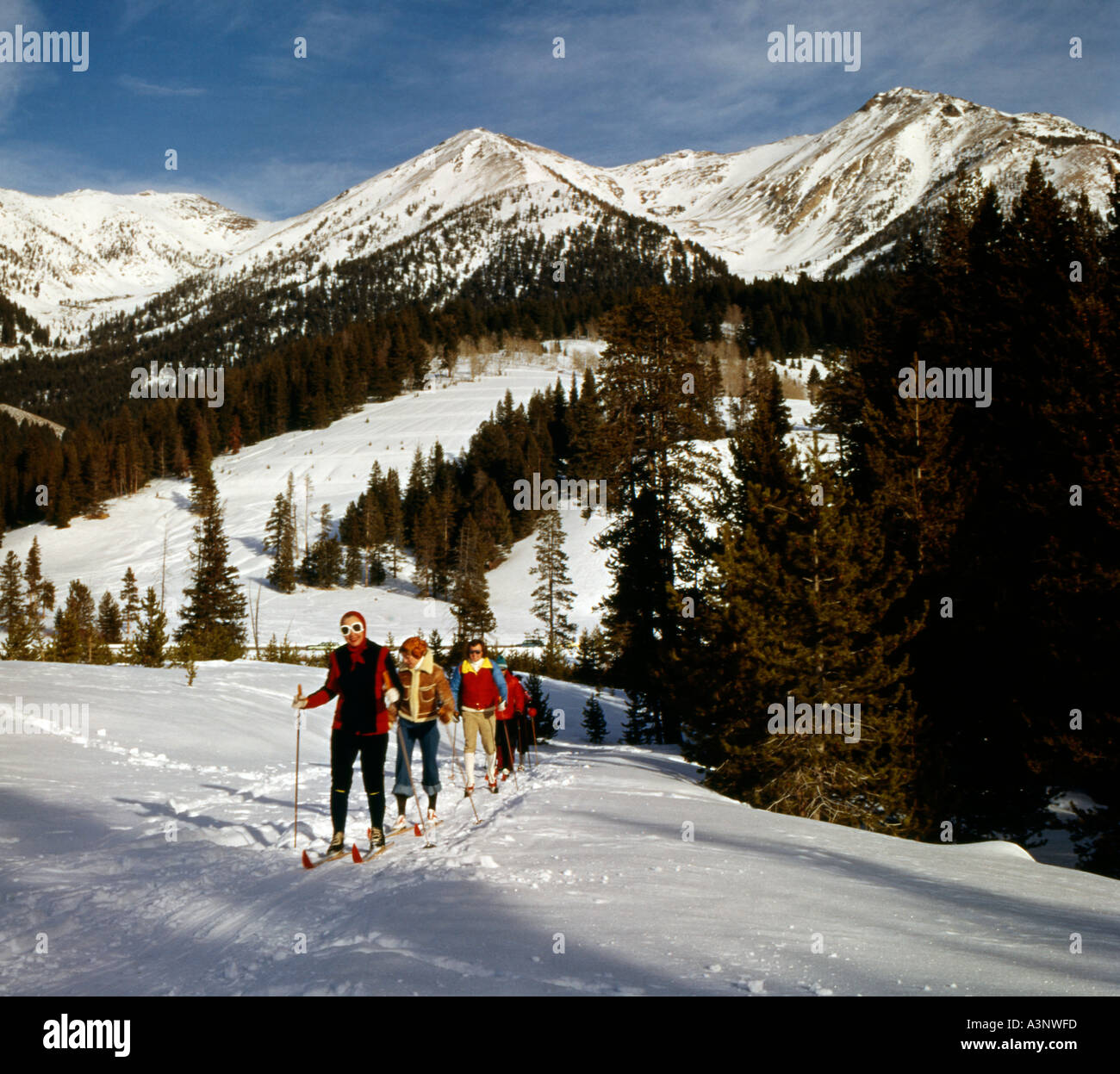 Party of cross country skiers climbing into the high country at Owl ...