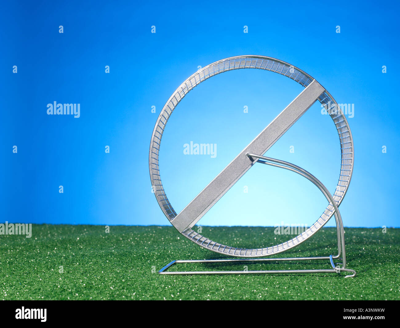 Hamster wheel hi-res stock photography and images - Alamy