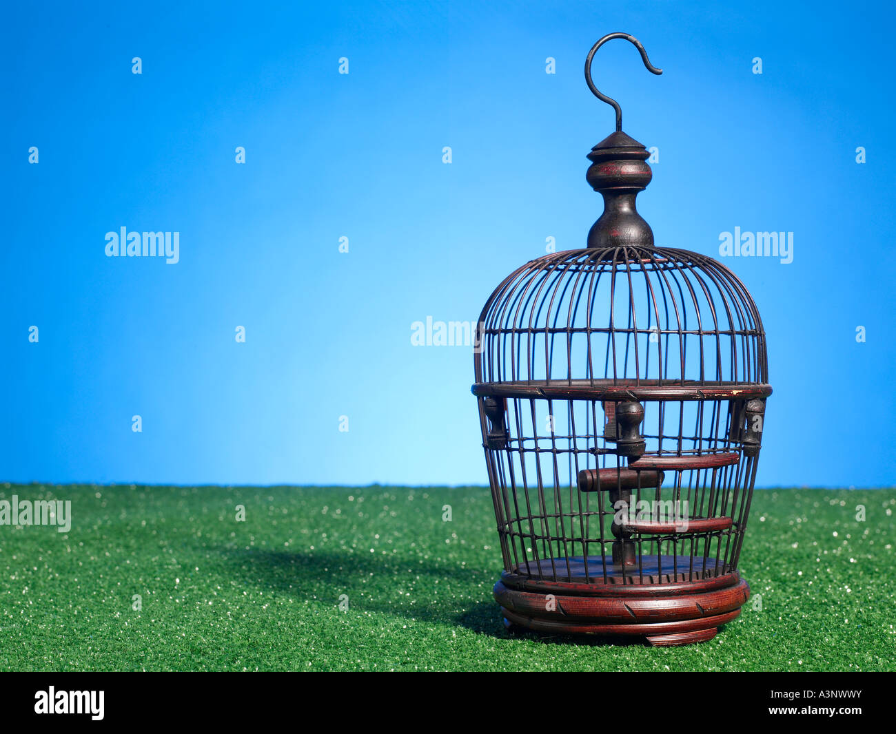Enclosed bird cage hi-res stock photography and images - Alamy