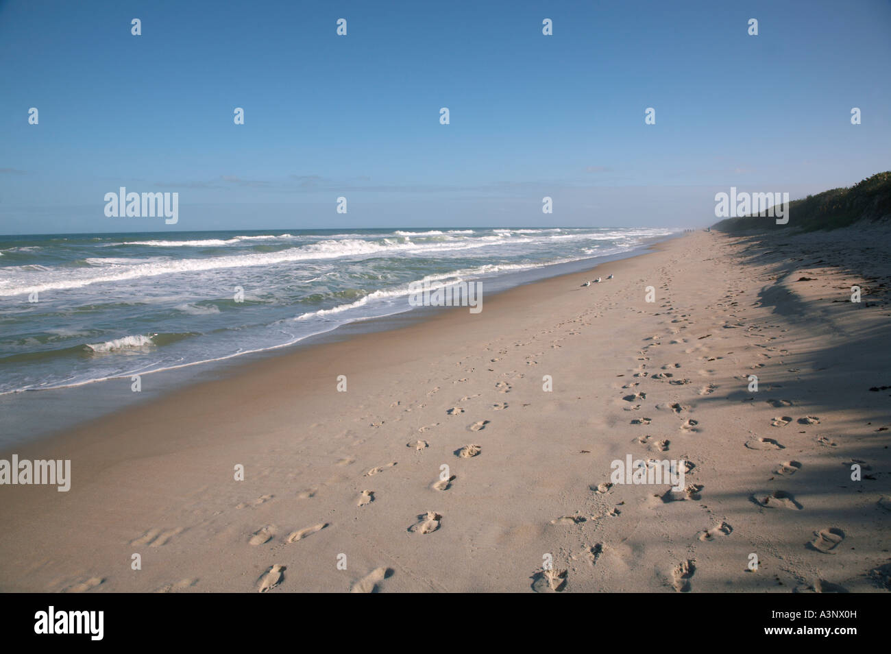 Playalinda Beach in Canaveral National Seashore on the Atlantic Ocean ...