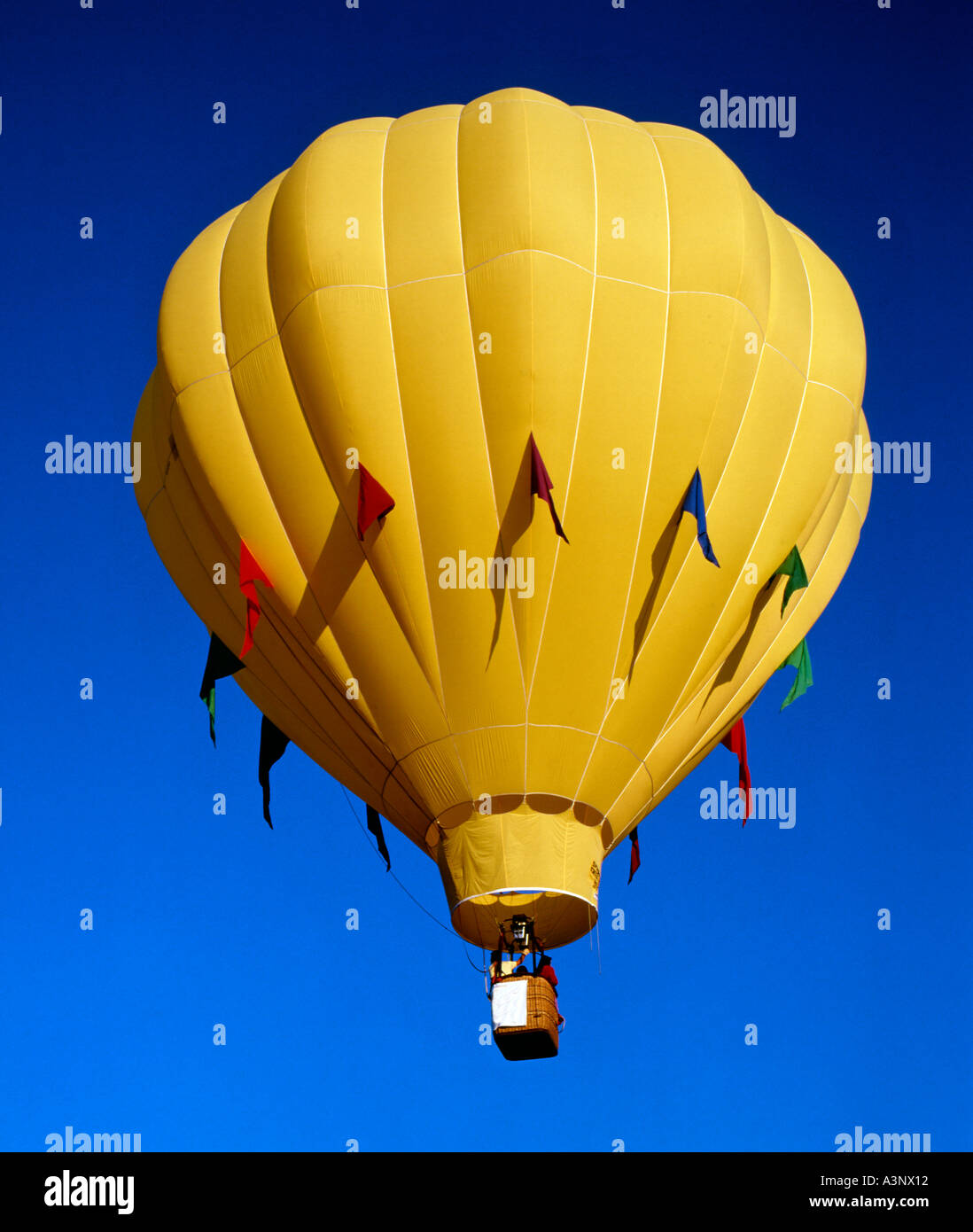 In Albany in Oregon the Great Balloon Escape attracts participatns with ...