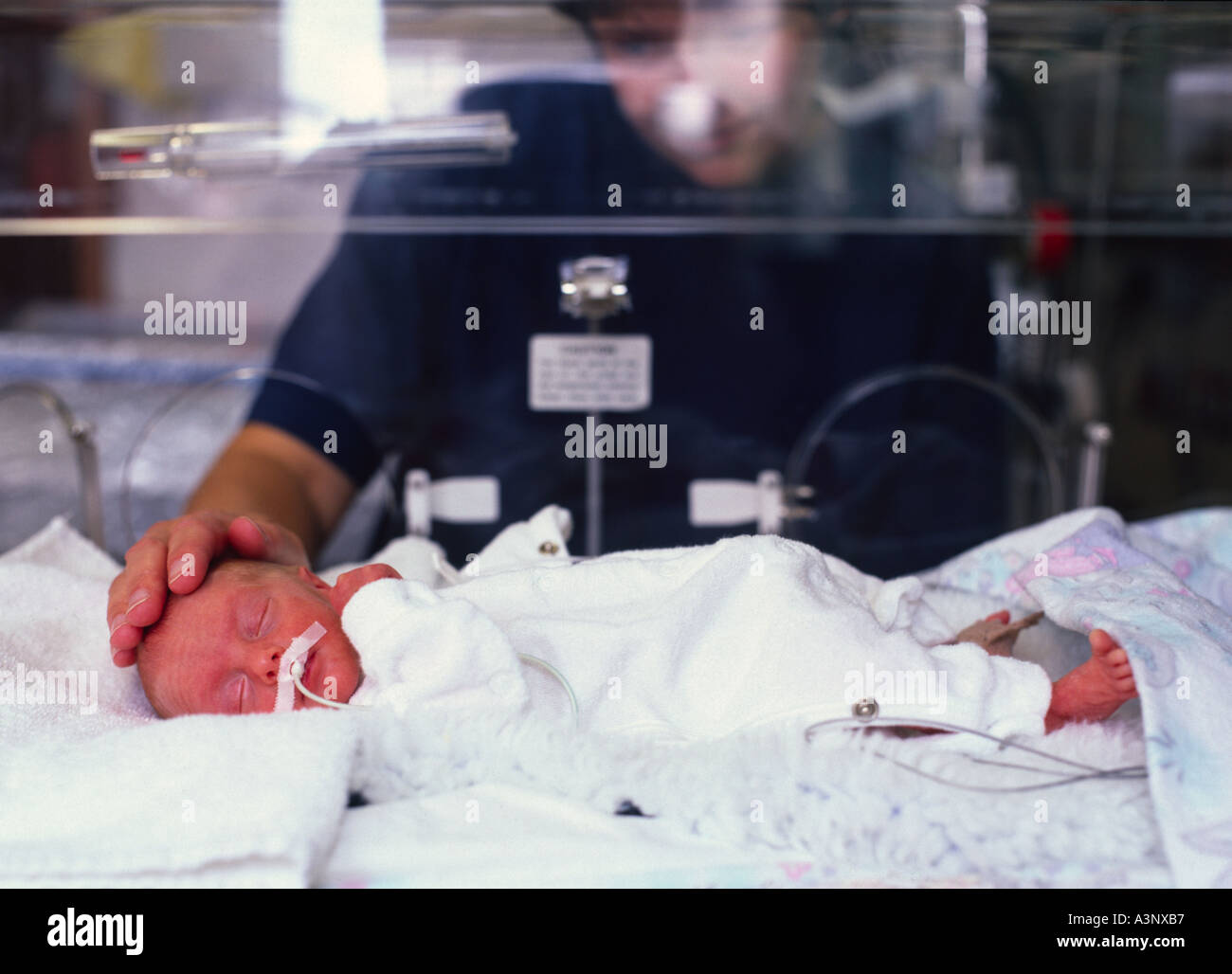 Premature baby in incubator Stock Photo - Alamy