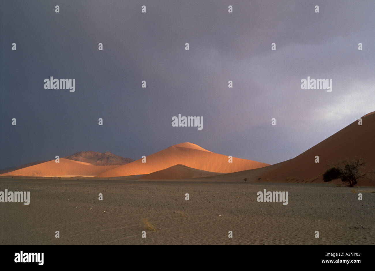 Naimb desert hi-res stock photography and images - Alamy
