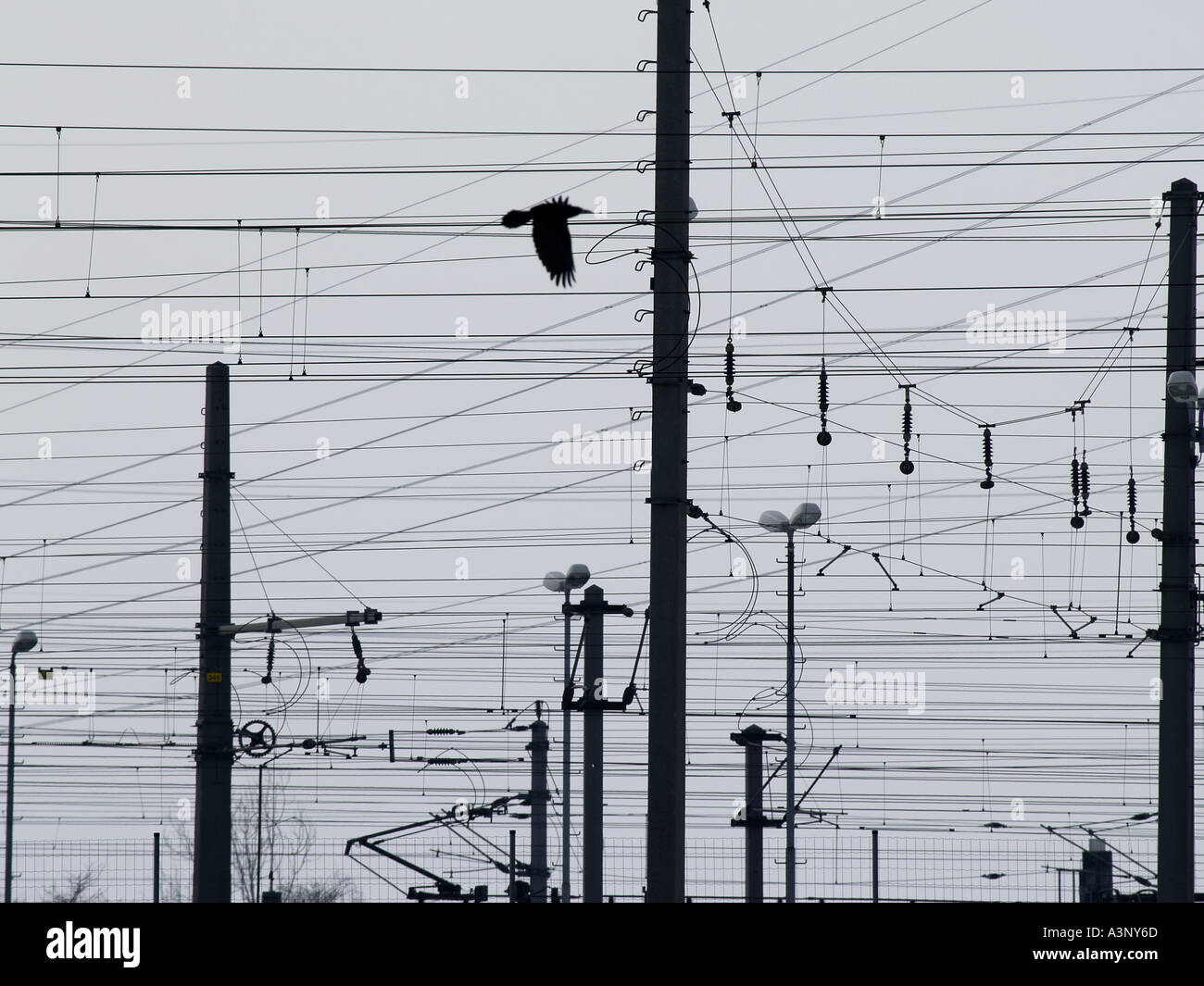 Raven system hi-res stock photography and images - Alamy